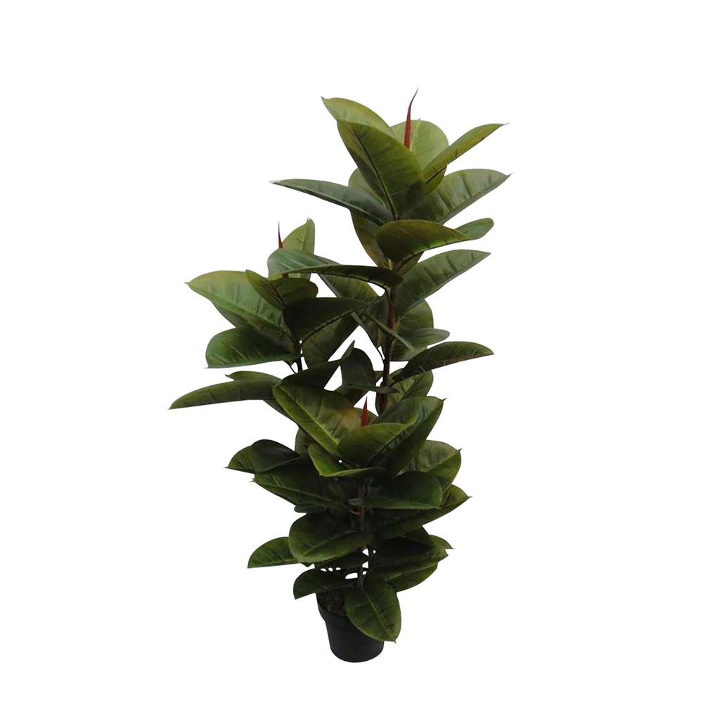 Rubber Tree 1.3m — Lj Bedding and Furnitures